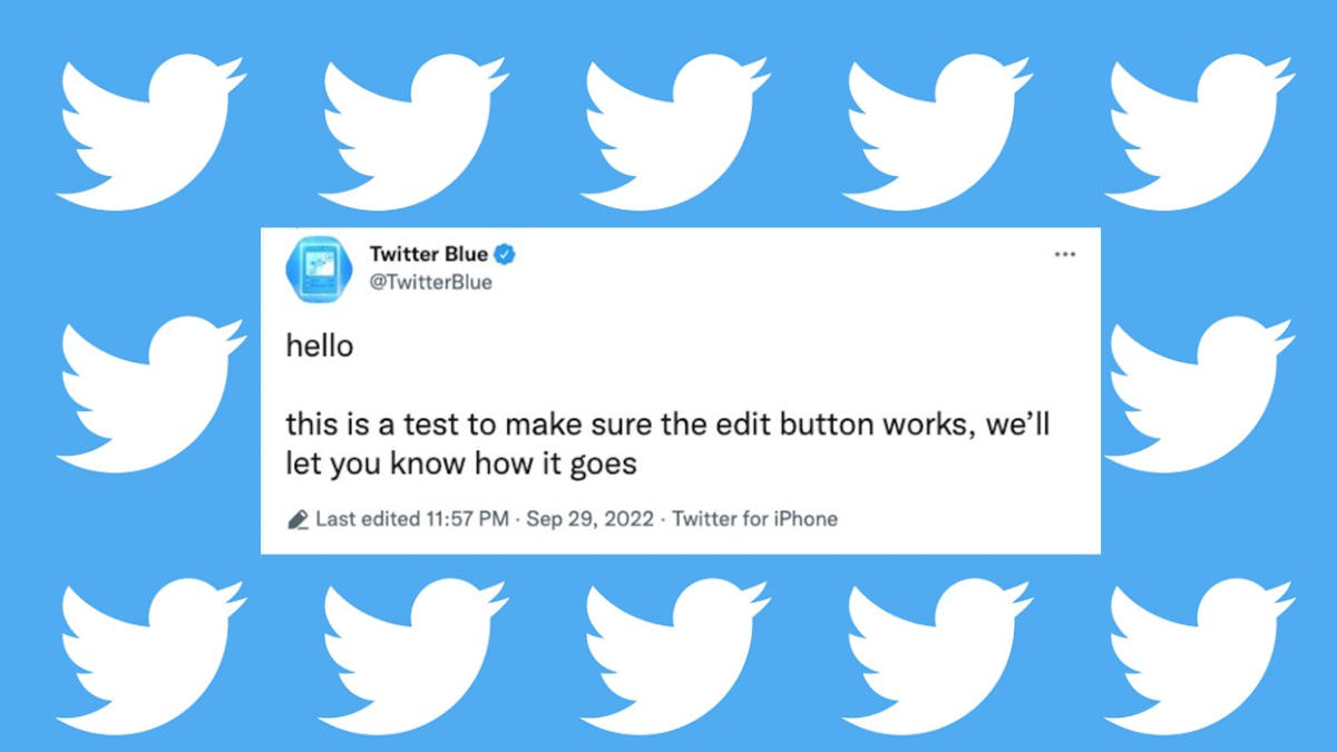 Musk Reveals Plans to Increase Twitter Blue Subscription to USD 8