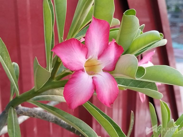 Huawei nova 12i Review