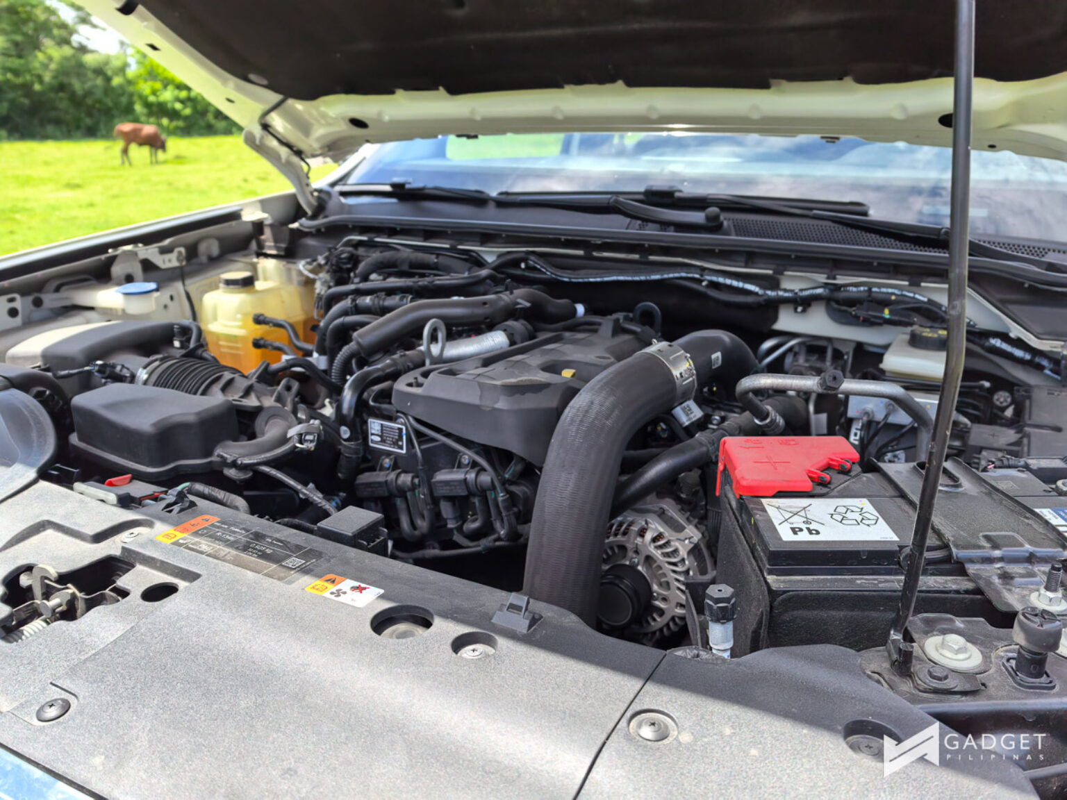 A Weekend Getaway with the 2024 Ford Everest Bi-Turbo Titanium+ 4x4